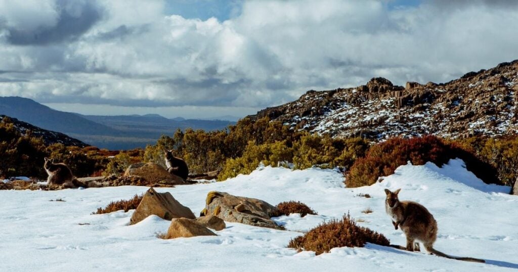 Snow in Australia This Winter - Travel Times