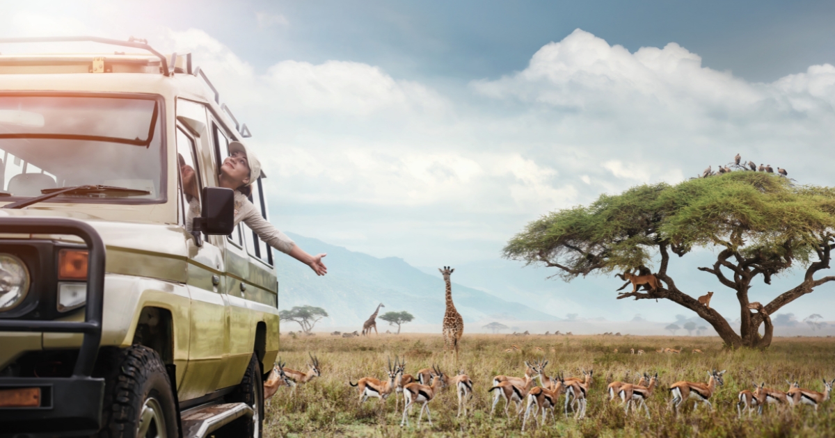 The Big Five: African Safari’s Most Iconic Animals - Travel Times