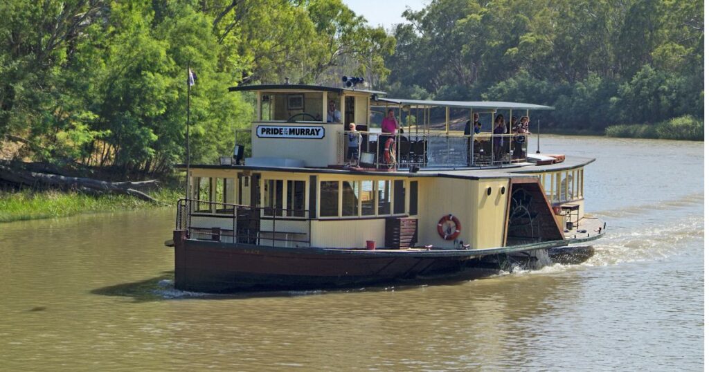 Exploring the Daintree Rainforest: Australia's Oldest Rainforest ...