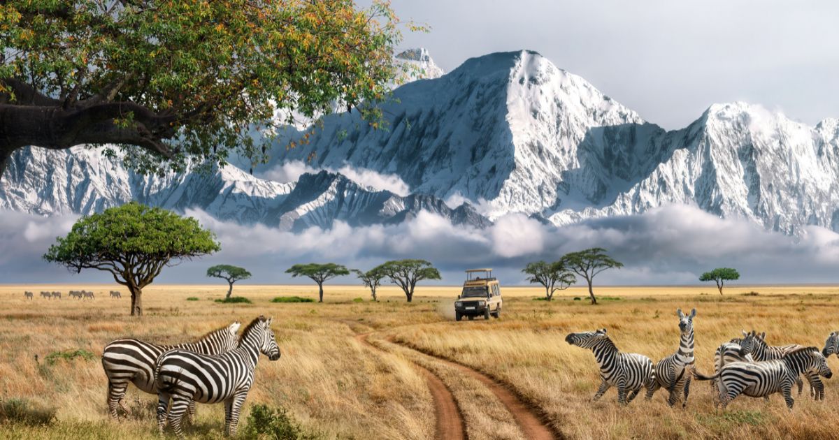 Dos and Don’ts for an African Safari - Travel Times